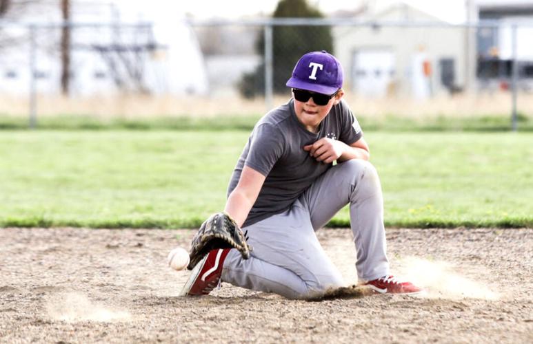 Take me out to the ballgame | News | terrytribune.com