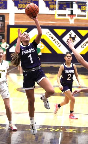 Lady Terriers lose two at district tourney | Commentary | terrytribune.com