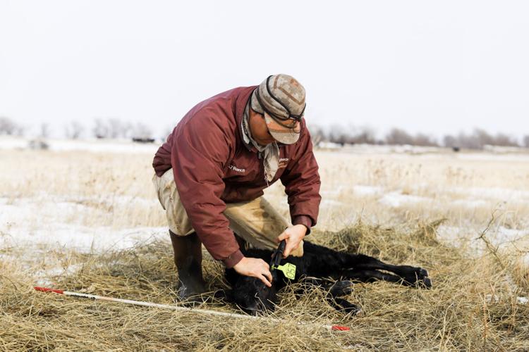 Liles family continues generations of agriculture tradition | News ...