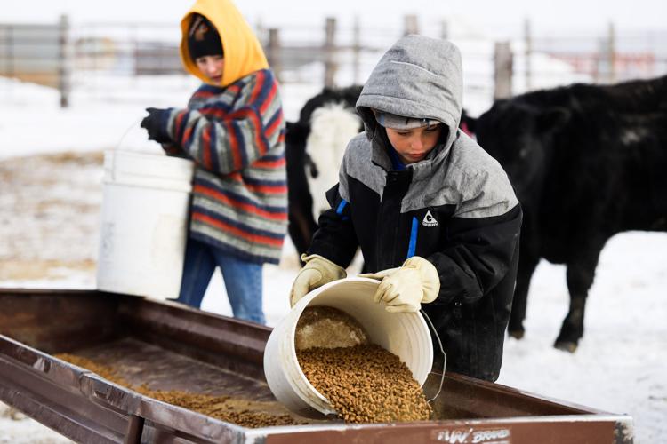 Liles family continues generations of agriculture tradition | News ...
