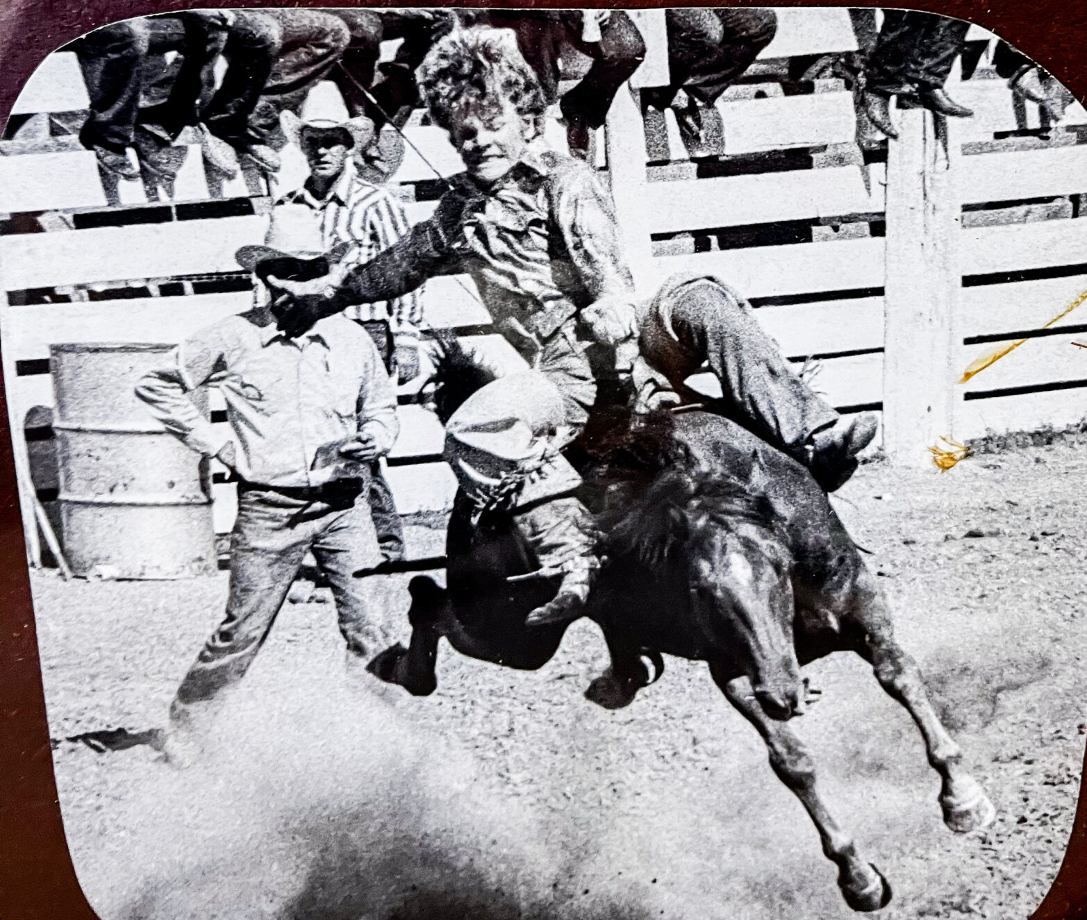 Terry Roping Club celebrates 75 years of rodeos, betterment of the ...