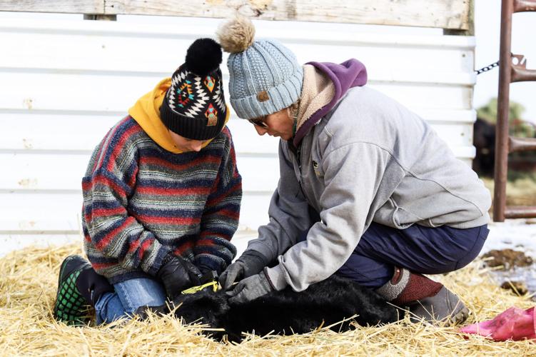 Liles family continues generations of agriculture tradition | News ...