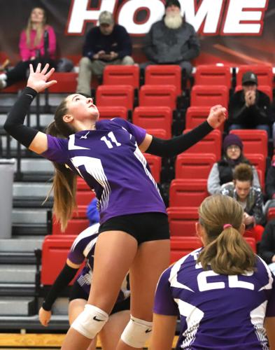 Lady Terriers season ends at districts | Sports | terrytribune.com