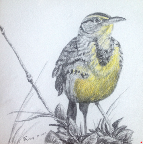 RUCKUS: Glendive Artist Returns to Her Craft: BeLinda "Frady" Higbee ...