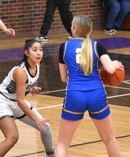 Terry basketball sweeps Beach | Sports | terrytribune.com