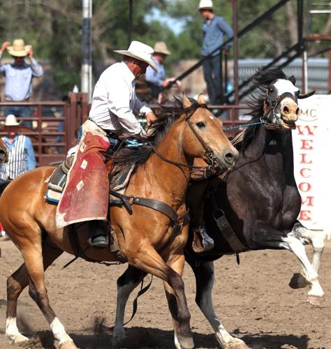 Local cowboys compete in Miles City Ranch Rodeo | Sports | terrytribune.com