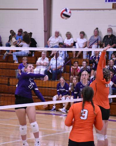Volleyball in Action | Sports | terrytribune.com