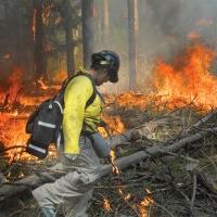 Red Creek fire lit Friday | News | tetonvalleynews.net