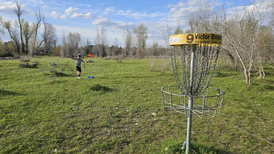 Victor City Council hears proposal for a disc golf course in Sherman ...