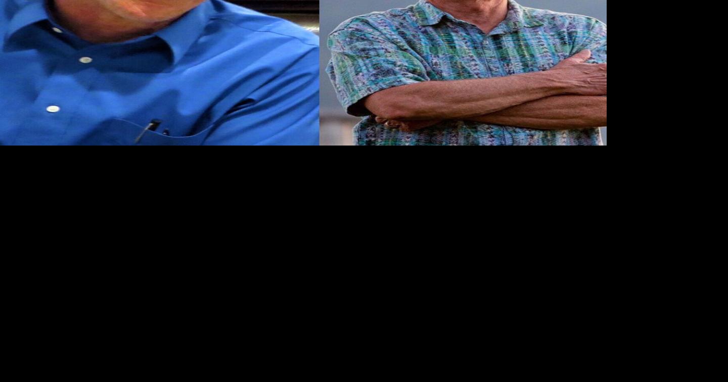 Heneage and Whitfield retain seats through county commissioner election ...