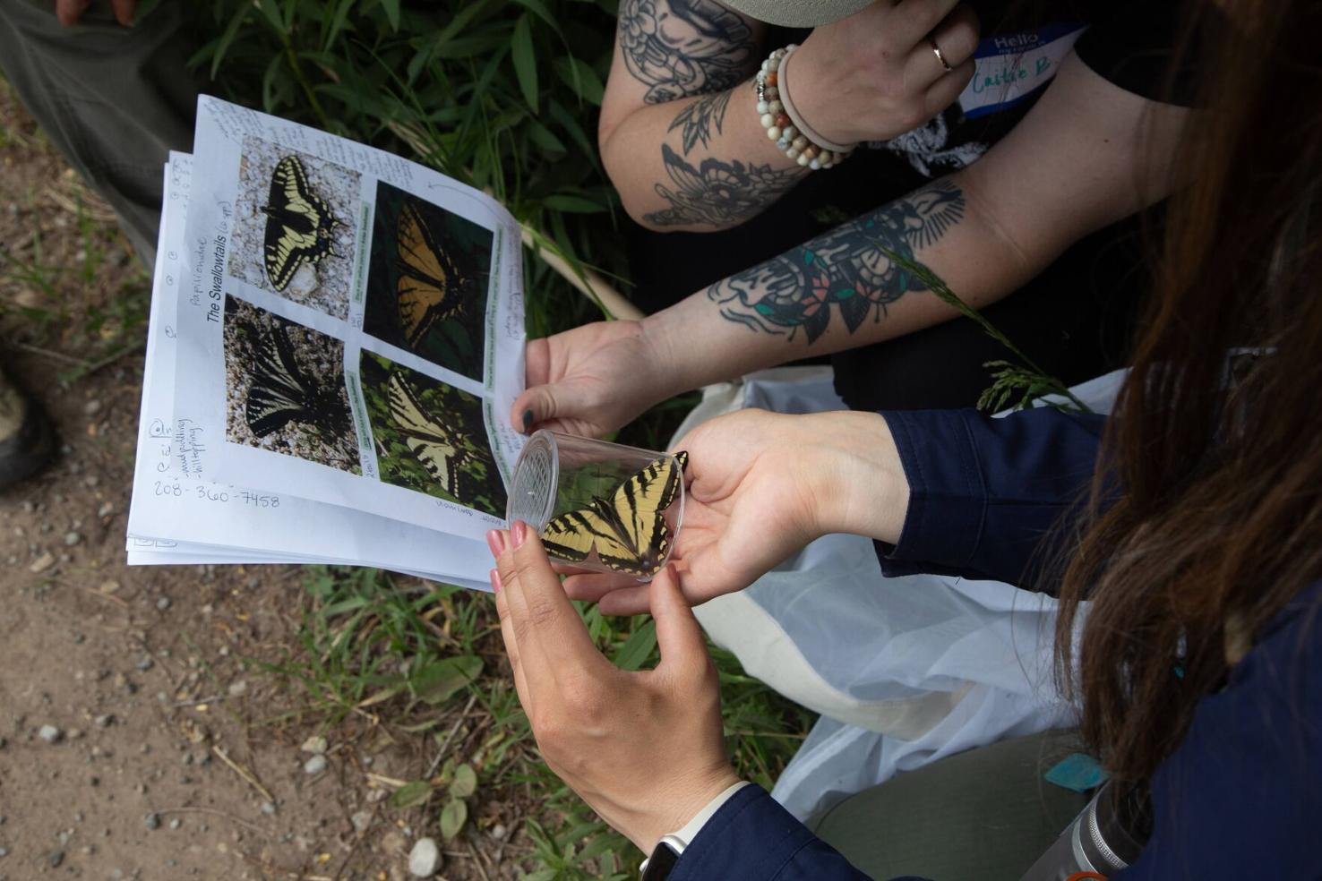 Community scientists uncover the hidden world at Teton Valley's first ...
