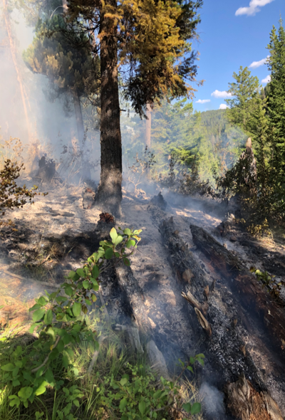 Boone Fire burning near Jedediah Smith Wilderness | News ...