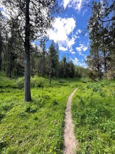 Scoping begins on the Kelly Canyon Mountain Bike Trails Project; Public ...