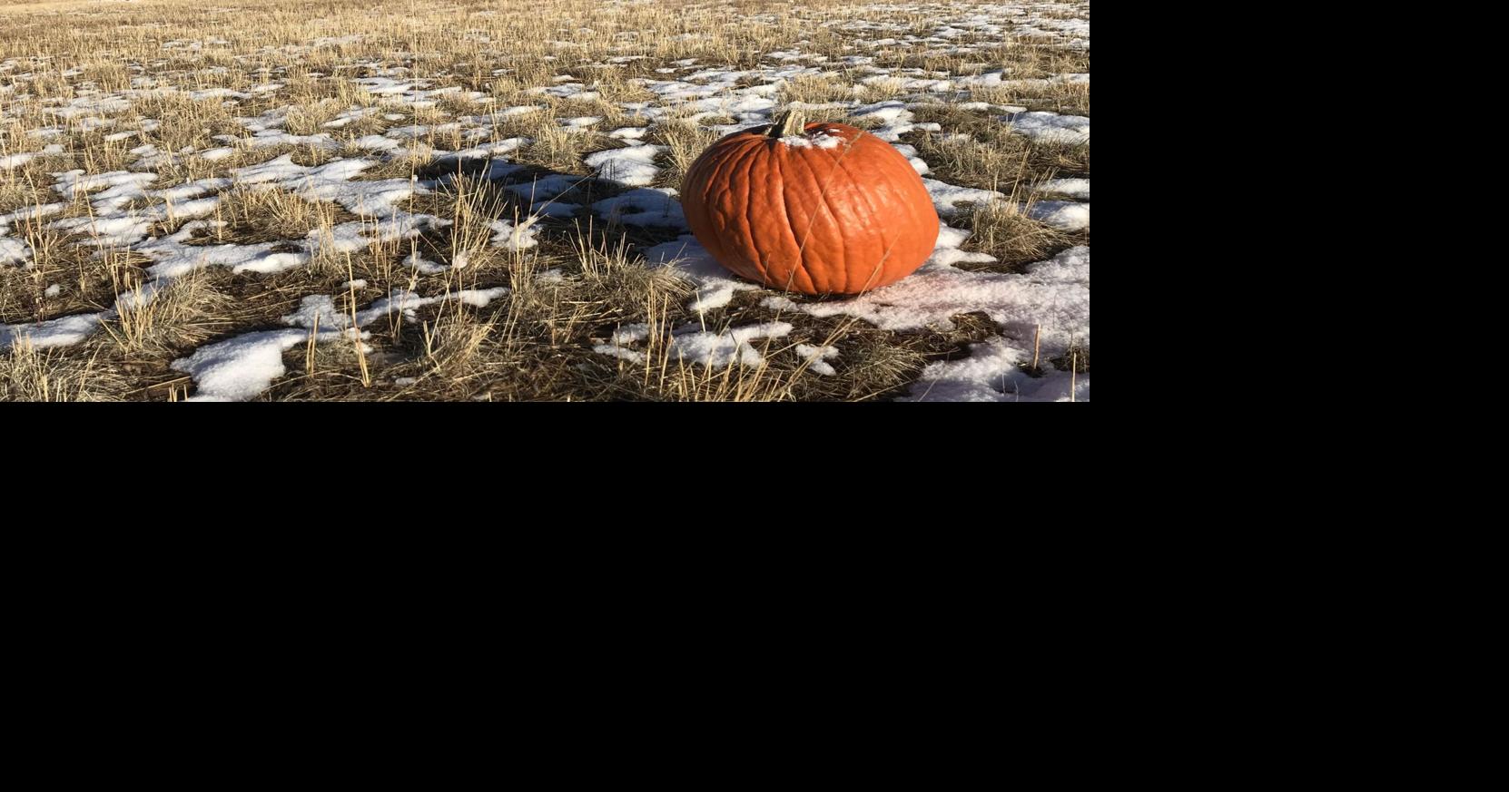 Fall In The Valley | Weather Blog | tetonvalleynews.net