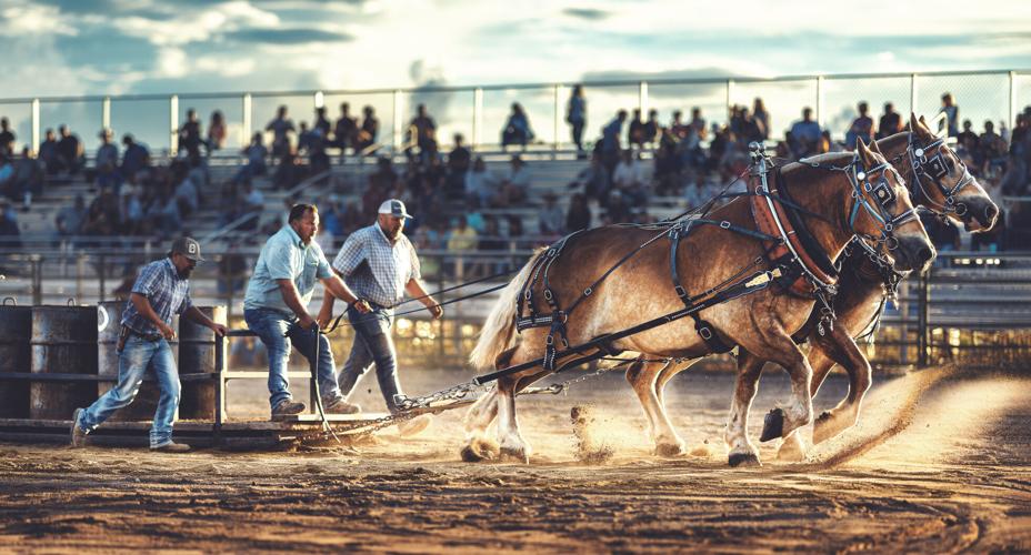100th Annual Teton County Fair Schedule | | tetonvalleynews.net