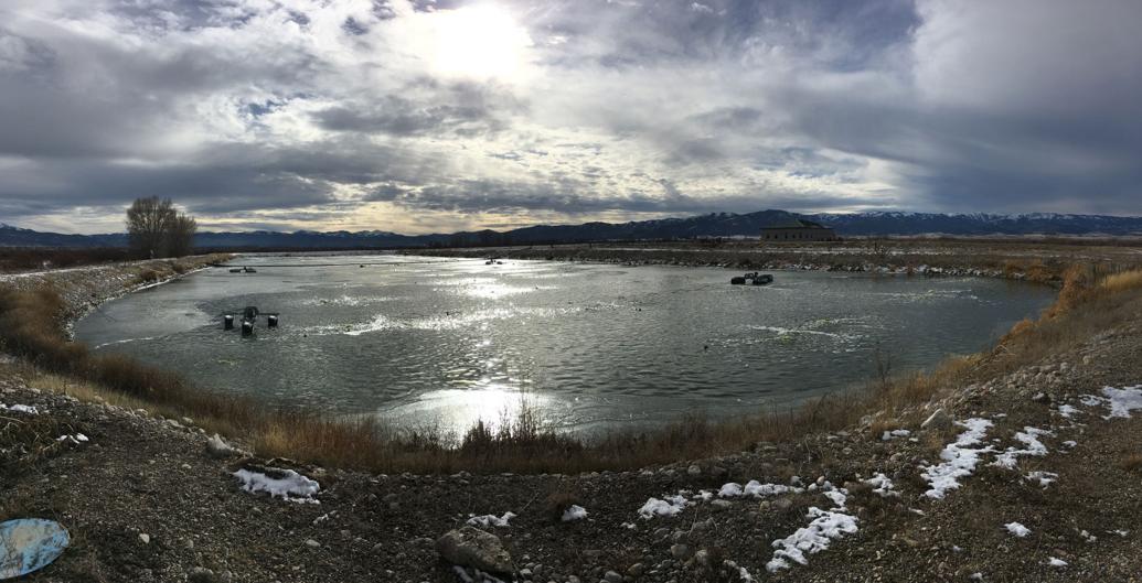 Stuck between a rock and a hard place | News | tetonvalleynews.net
