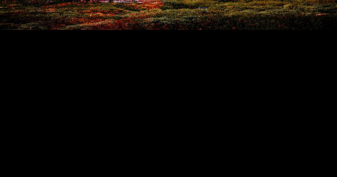 Victor City Art Gallery Celebrates Local Artist Linda M Swope with ...