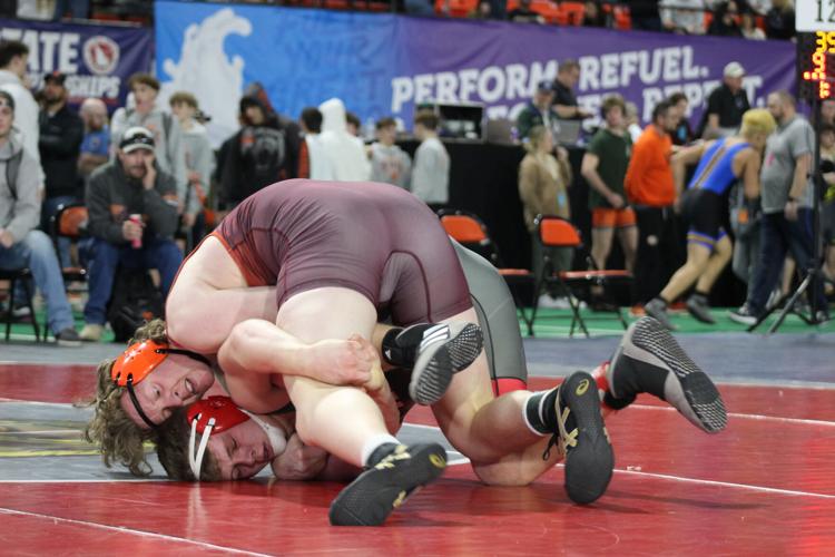 Ryker Fullmer takes state wrestling title; seven THS wrestlers make the ...