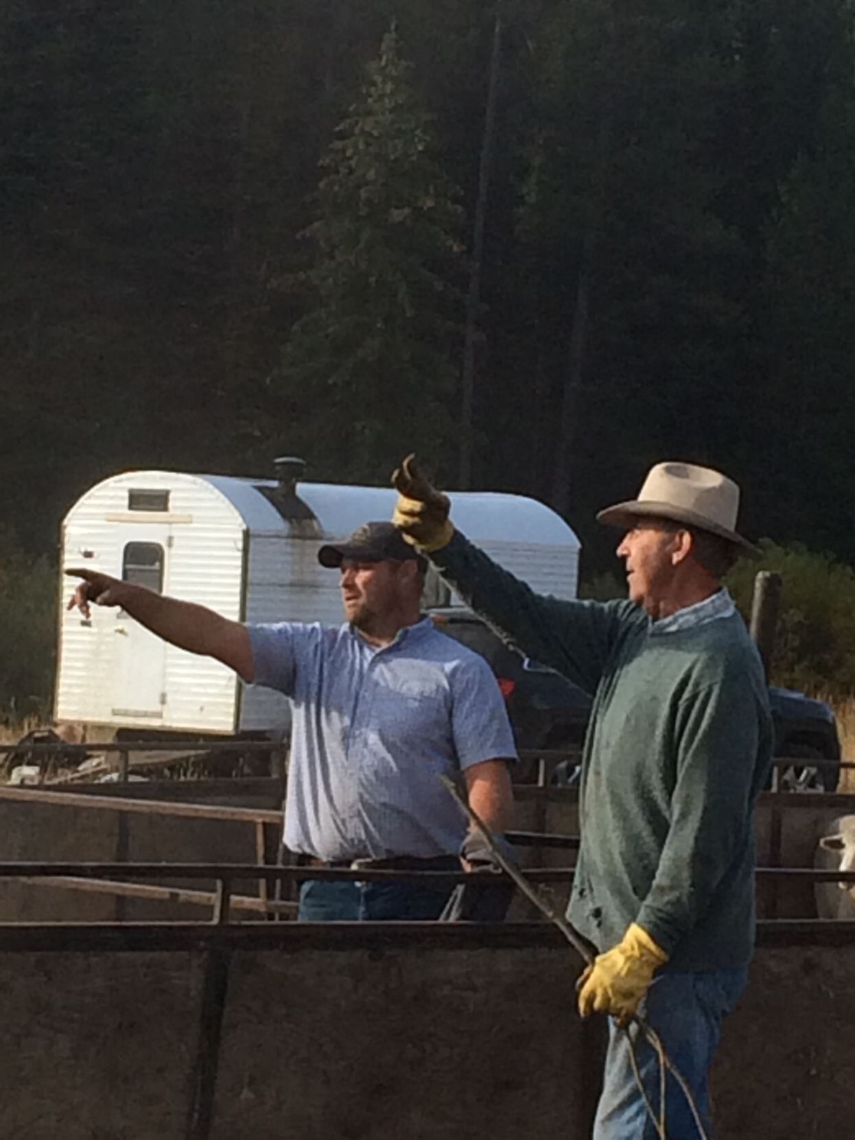 Siddoway Family: A long history with sheep | Agriculture ...