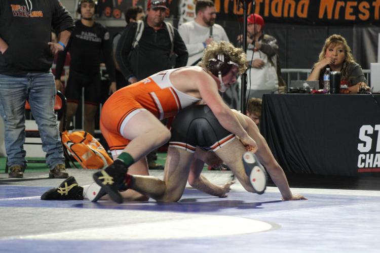 Ryker Fullmer takes state wrestling title; seven THS wrestlers make the ...