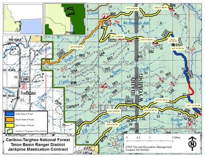 Jackpine Pinochle Loop Mastication Project | Outdoors | tetonvalleynews.net