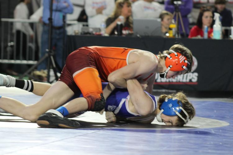 Ryker Fullmer takes state wrestling title; seven THS wrestlers make the ...