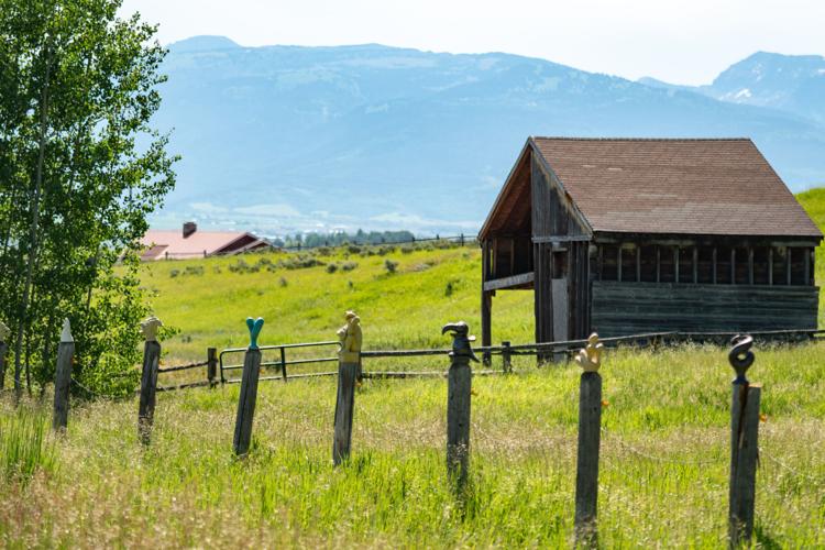 Fence post sculpture show brings Greg Geffner's art to the countryside ...