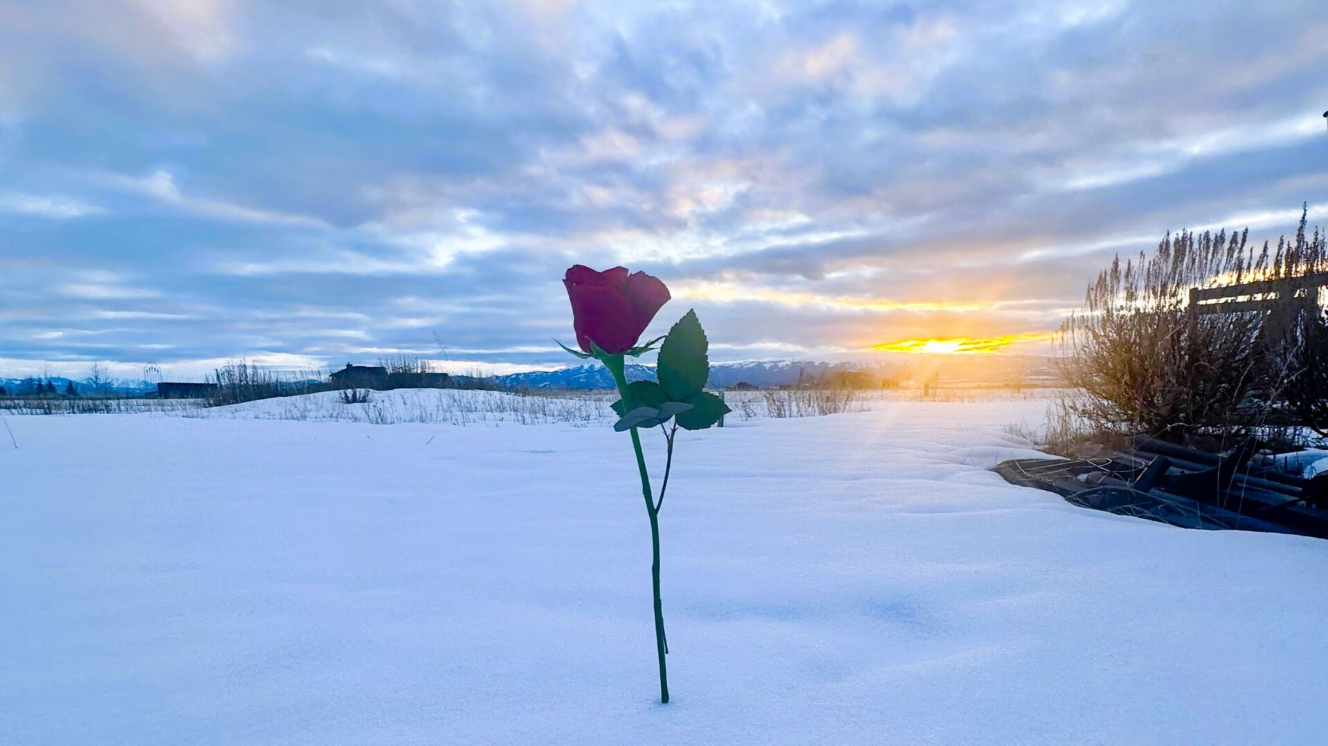 Concern & Hope | Weather Blog | tetonvalleynews.net