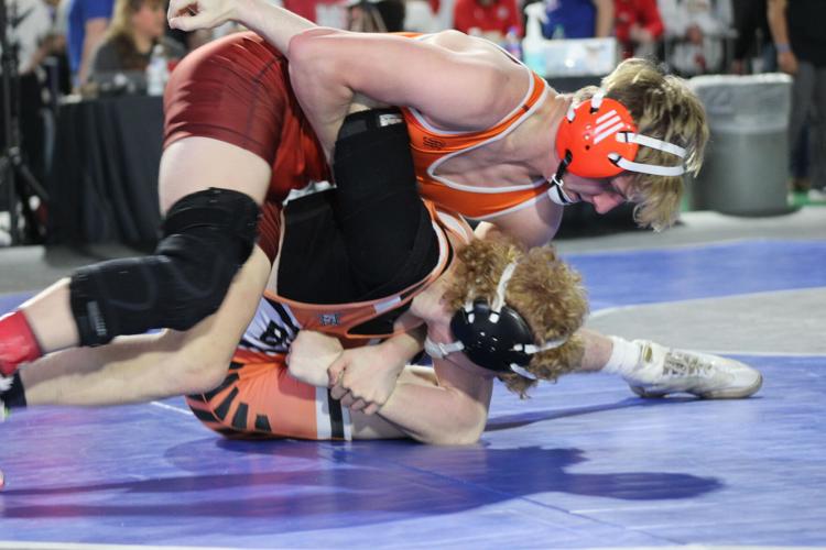 Ryker Fullmer takes state wrestling title; seven THS wrestlers make the ...
