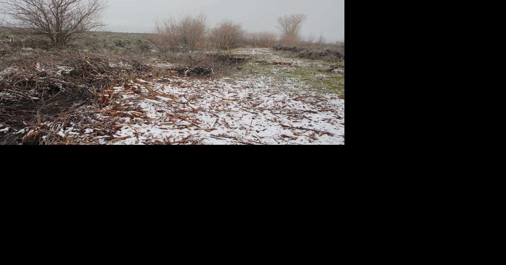 County requires permit on Dry Creek to protect insurance; Darby ...