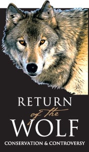 A predator's welcome | News | tetonvalleynews.net