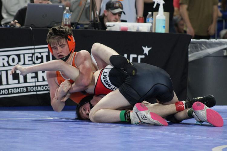 Ryker Fullmer takes state wrestling title; seven THS wrestlers make the ...