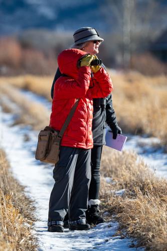 Christmas bird count reflects warmer weather | Outdoors ...