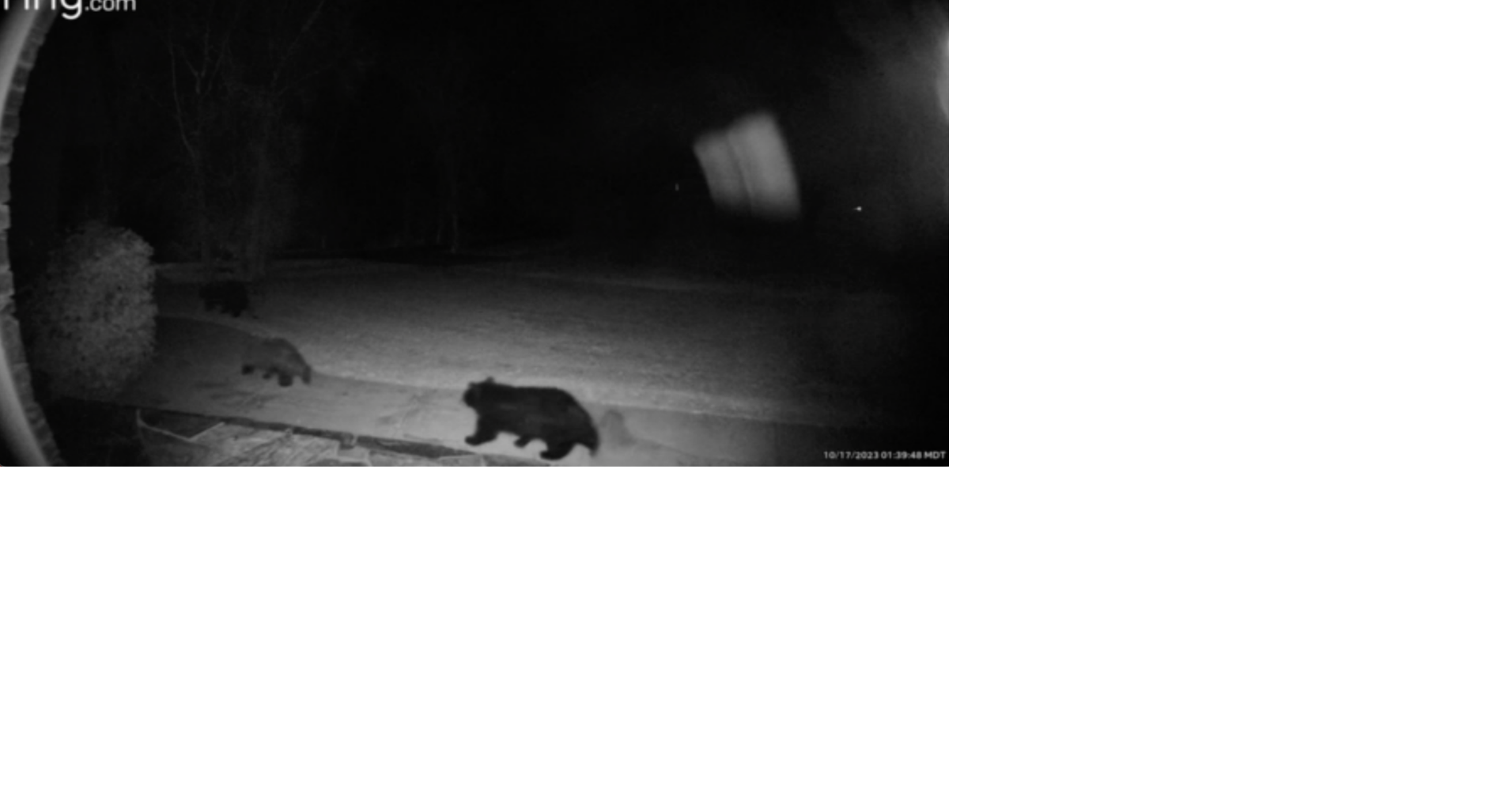 Bears in Aspen Point; preventative actions to avoid bear conflict ...