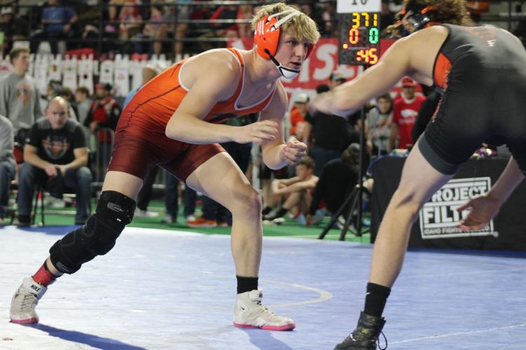 Ryker Fullmer takes state wrestling title; seven THS wrestlers make the ...
