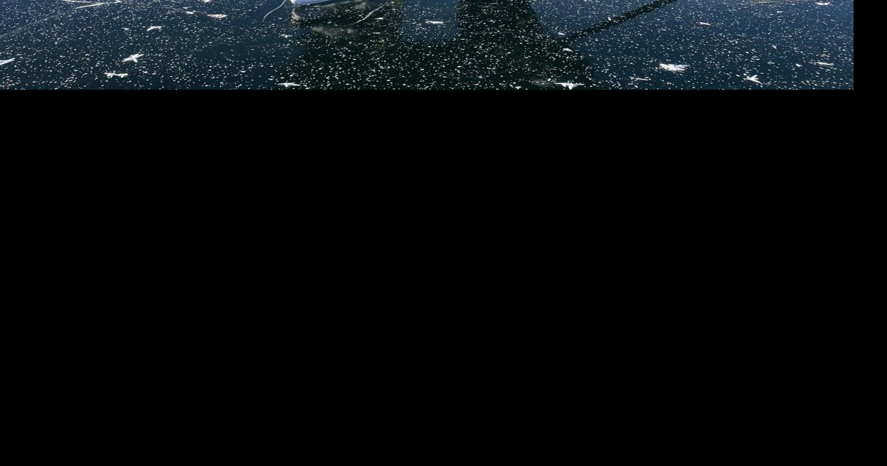 Teton Regional Land Trust Announces 2024 Michael B Whitfield ...