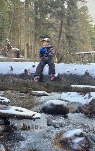 Christmas bird count reflects warmer weather | Outdoors ...