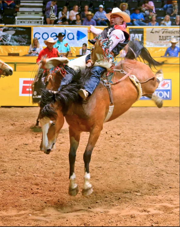 Valley rodeo stars compete nationally | News | tetonvalleynews.net