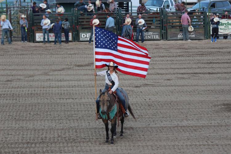 Teton Valley Fair and Rodeo Queen Elena Dewitt trains wild mustangs for ...