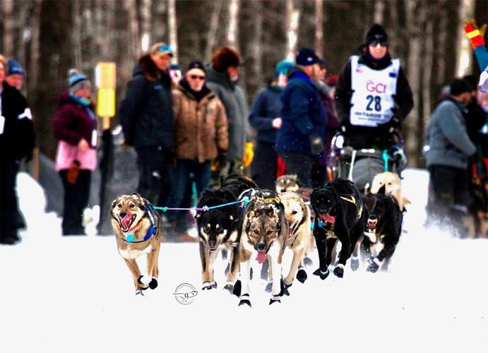 Amanda Otto and team finish top 10 in Iditarod Trail Sled Dog Race ...