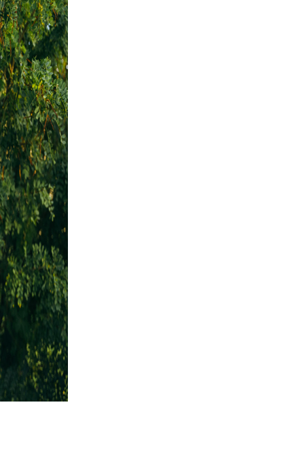 TVN welcomes new reporter Danielle Clegg | Community | tetonvalleynews.net