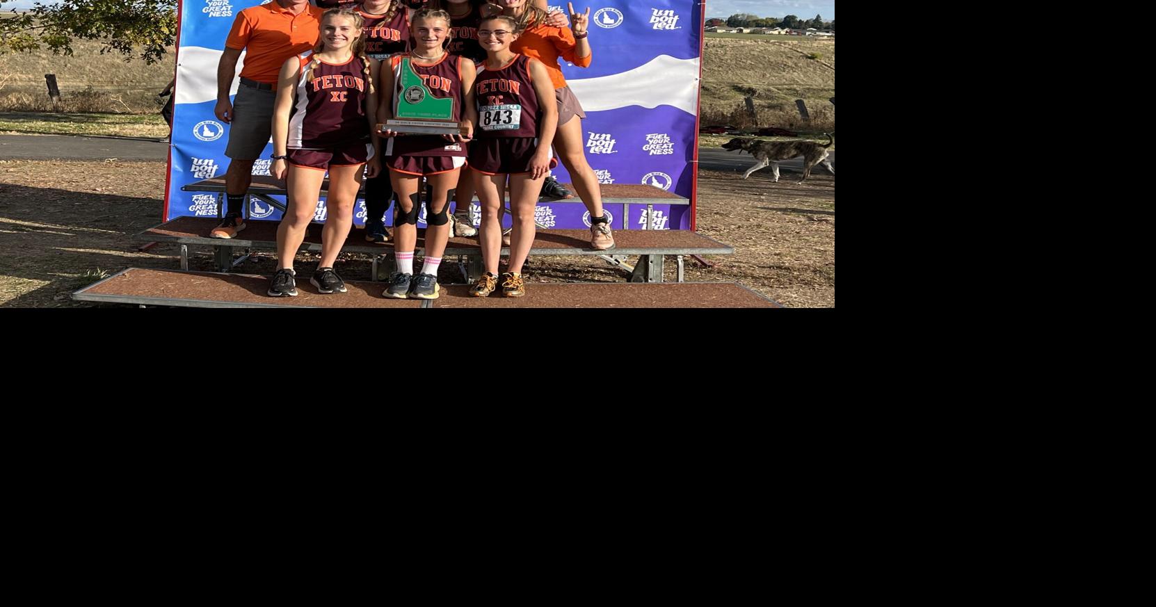 Girls' XC team takes third at state, Lindquist places 5th | News ...