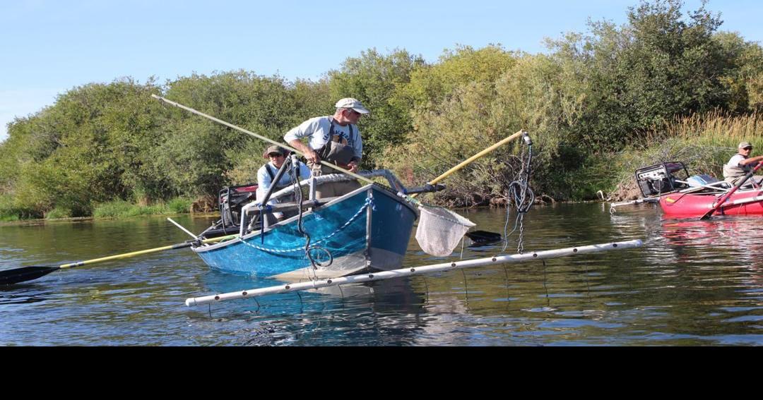 IDFG is conducting electrofishing surveys on Teton River | Freeaccess ...
