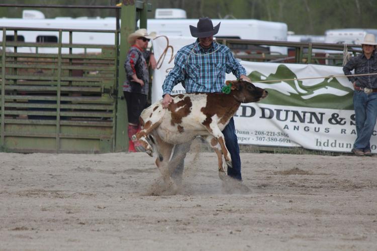 Tetonia Rodeo features high school cowboys, cowgirls | News ...