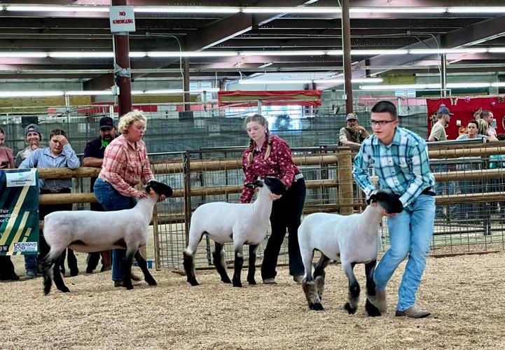 4-H program rapidly expanding, looks to continue momentum | Community ...
