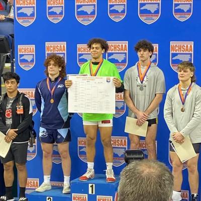 Davidson County wrestlers Jonathan Hance, Tristan Hale win state ...