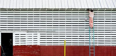Show barn shine | News | the-dispatch.com