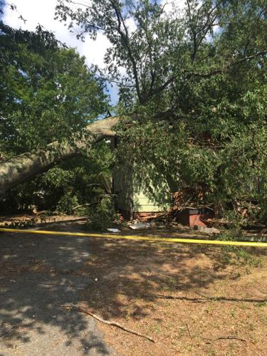 Tree limb lands on house | News | the-dispatch.com