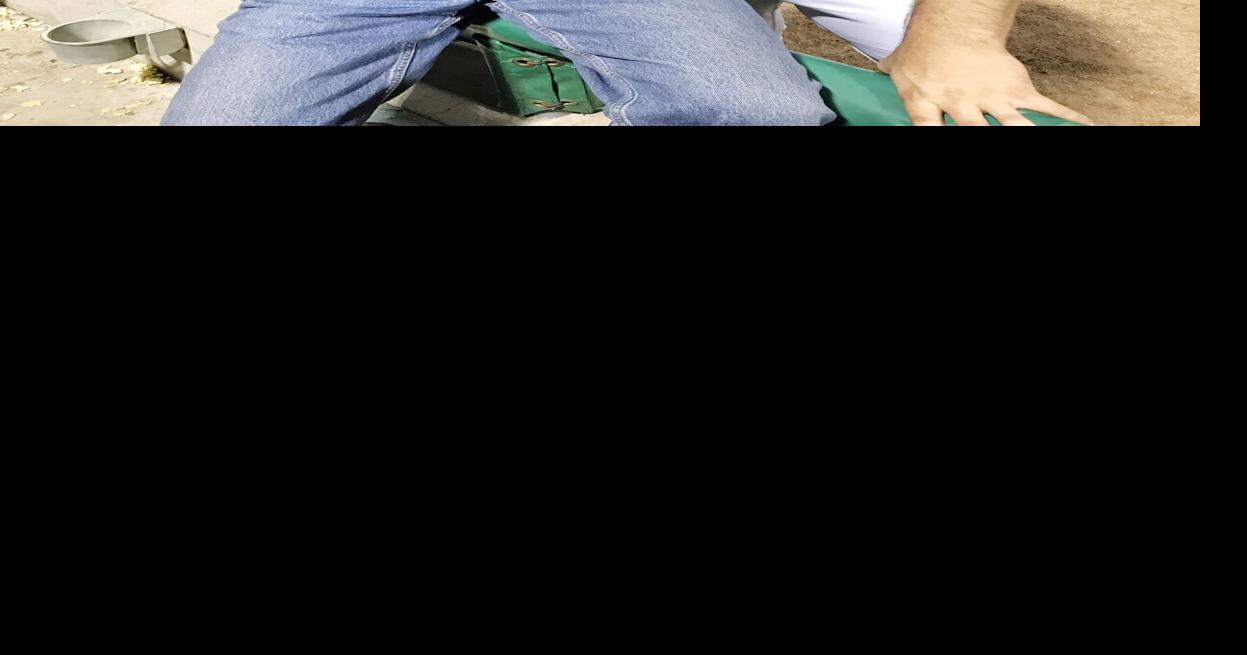 Beck, dad savor first two-homer game as a pro | Sports | the-dispatch.com