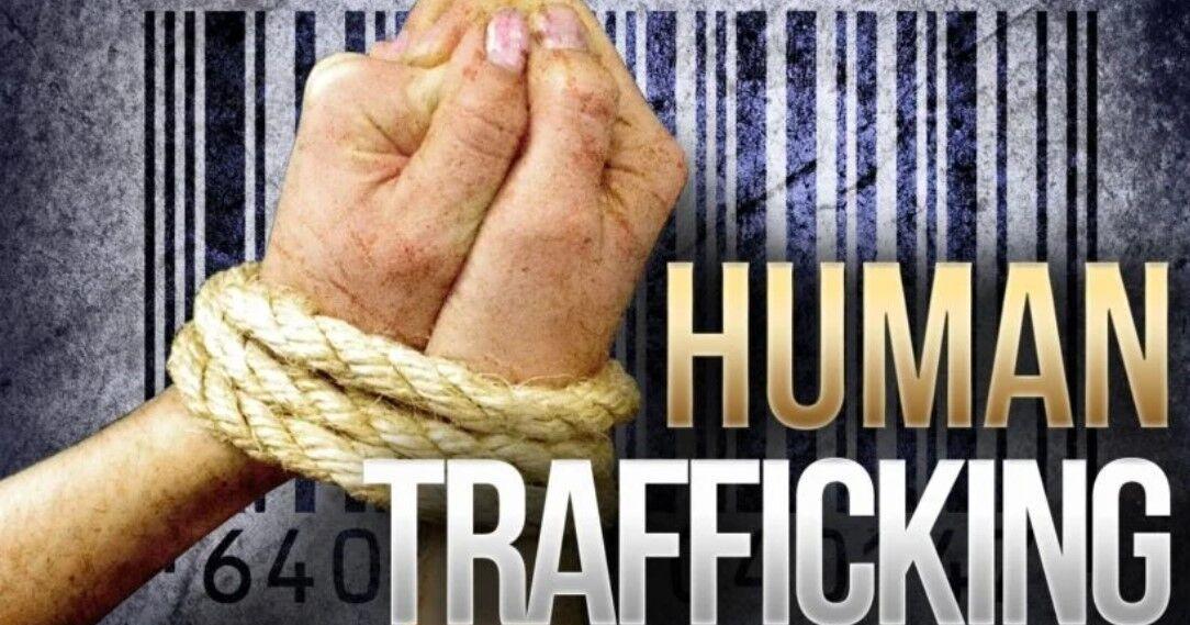LPD hosts training simulation for human trafficking awareness | Local ...